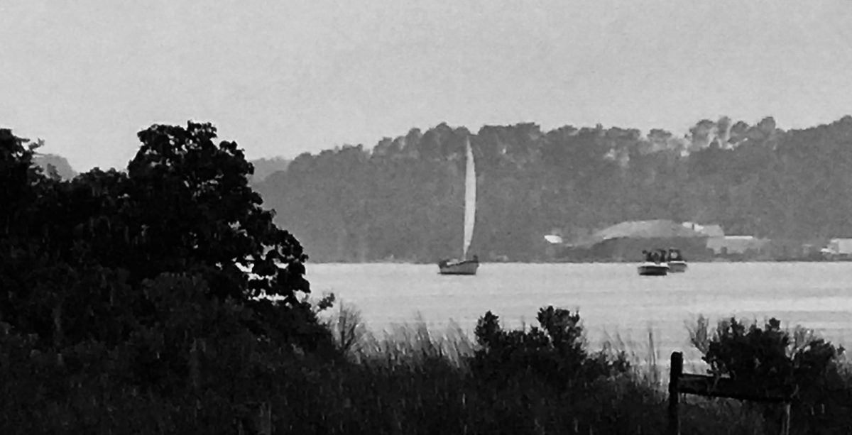 Freya Returns to Gwynn's Island - The Klingel Project